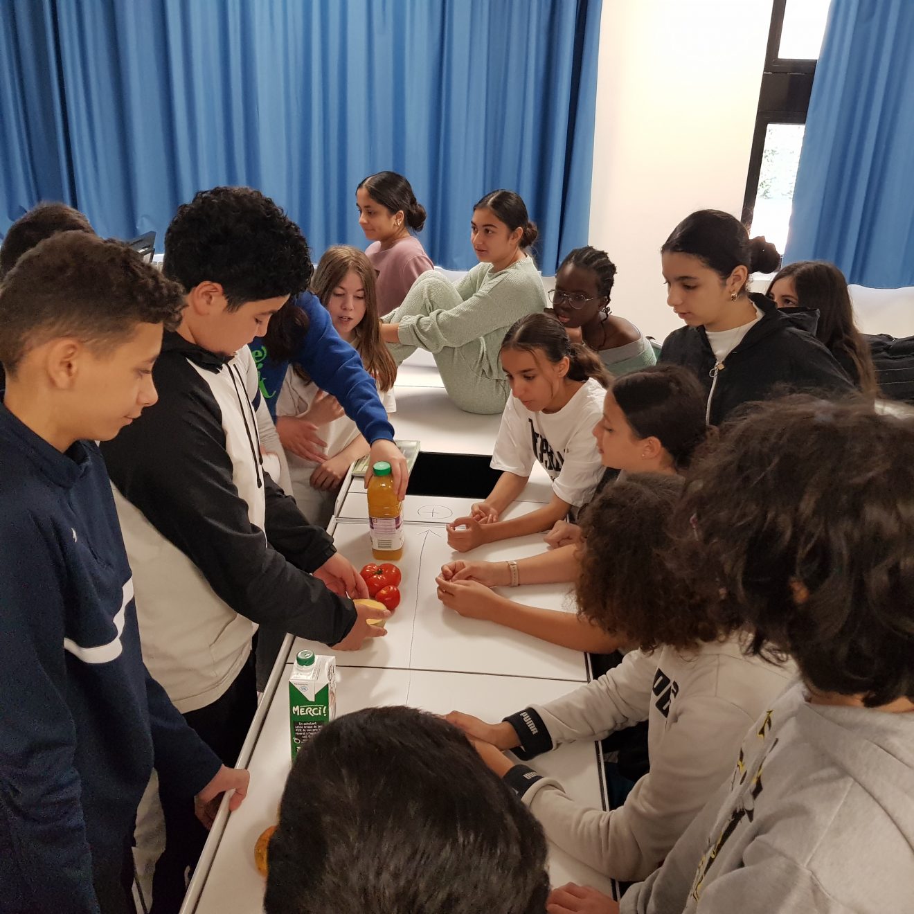 Parcours de la transition “Alimentation” au collège Gérard Philipe à ...